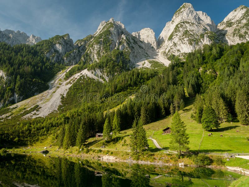 Vorderer Gosausee in Austria in Summer, Reflection in Water Stock Image ...