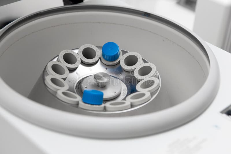 Lab Technician Hand Planting a Petri Dish Stock Image - Image of ...