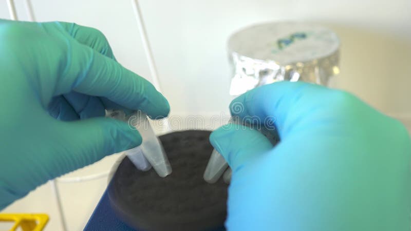 Vortexing of the Samples and Reagents Stock Video - Video of syringe ...