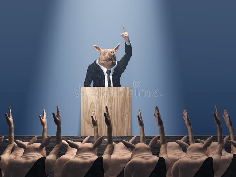 Vote at the pig meeting stock image. Image of anger, office - 18901305