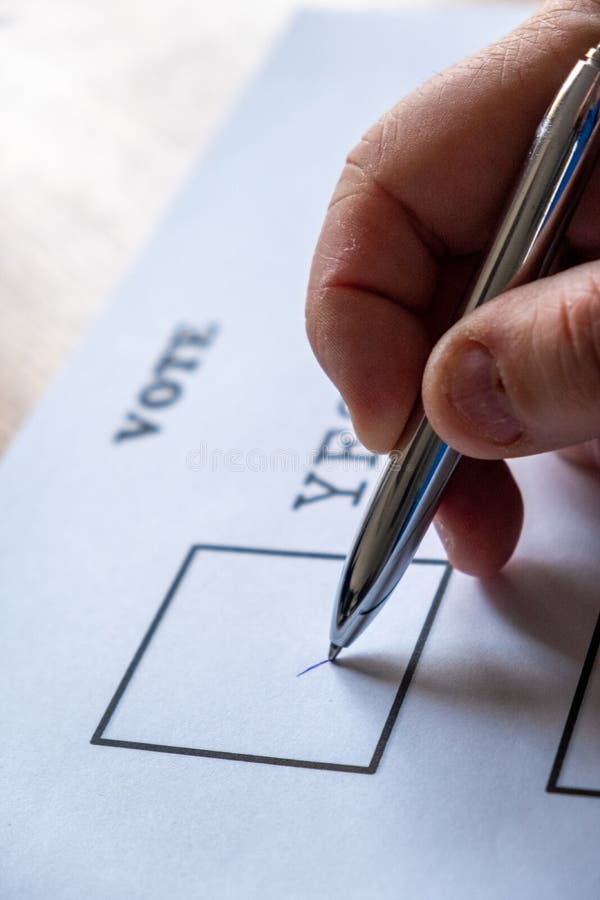 Voting ballot with choices stock image. Image of checklist - 168802423