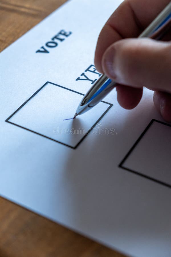Voting ballot with choices stock image. Image of ballot - 168802303