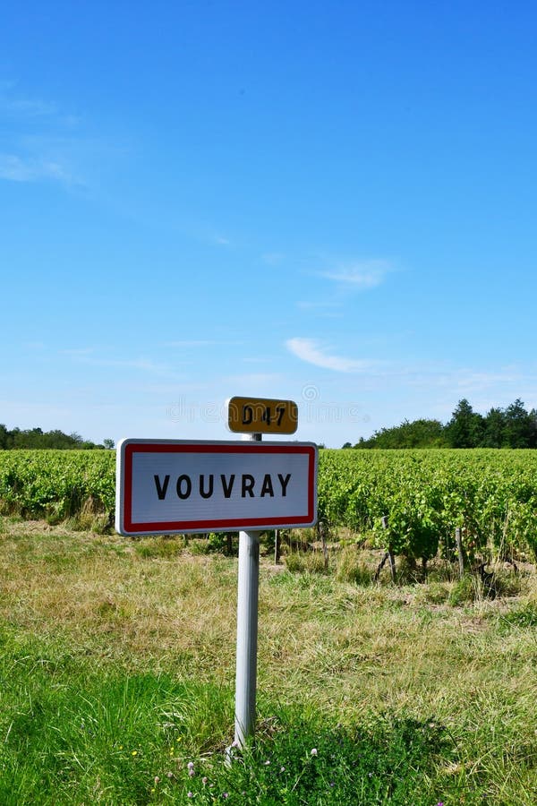 Vouvray; France - July 15 2020 : Vineyard Editorial Stock Image - Image ...