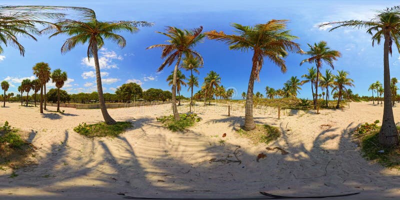 360 VR Video Tropical Beach Scene with Palms 2025 8k Stock Footage ...