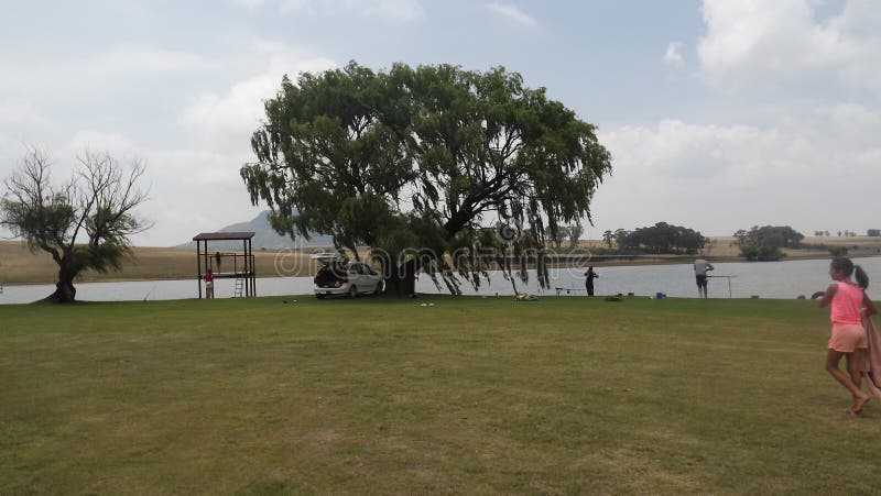 Vrede dam editorial photography. Image of vrede, trees - 163536697