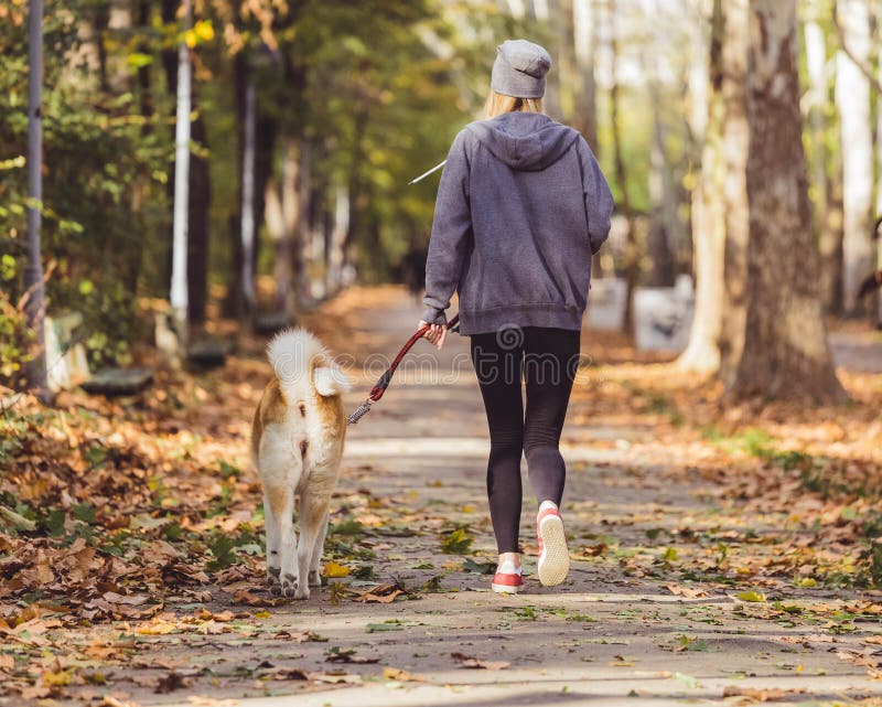 Vrouw Die En Met Haar Hond in Park Lopen Lopen Stock Foto - Image of ...