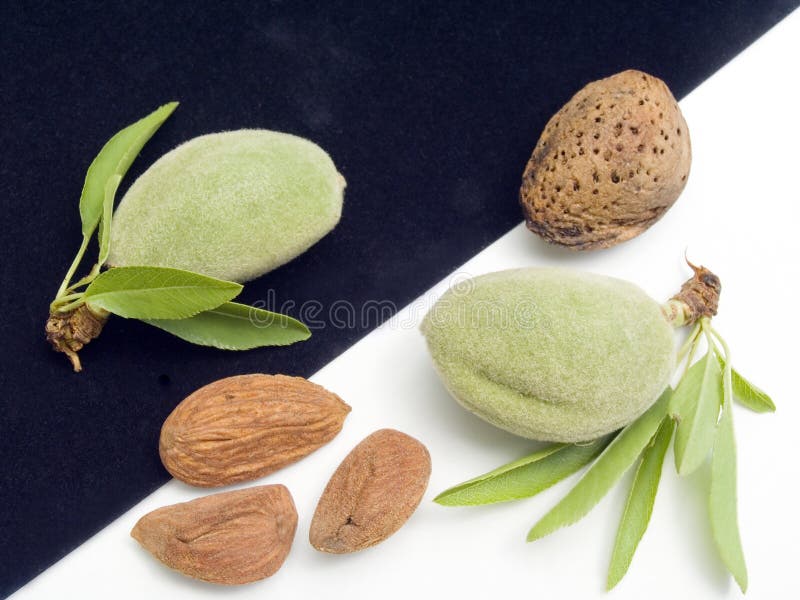 De details van de amandel stock afbeelding. Image of geweven - 3089719