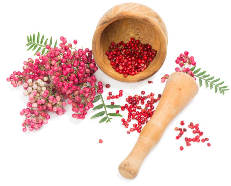 Roze Peperbollen Peruviaanse Peperboom (Schinus Molle L ) Stock Foto ...