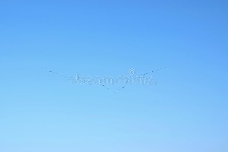 Flying home stock image. Image of aerospace, 30th, 21st - 84412927