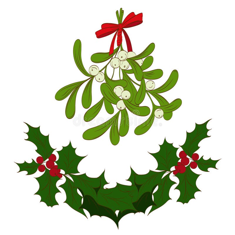 Vue De Houx Et Un Brin De Gui Illustration de Vecteur - Illustration du ...