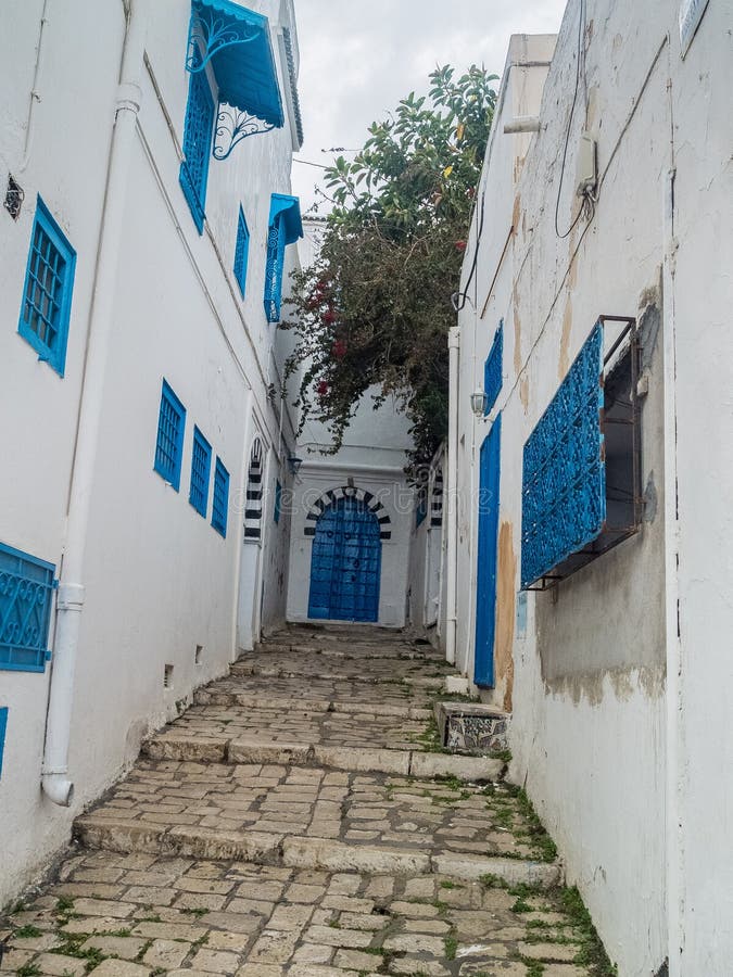 Vue De Sidi Bou Said En Tunisie Image stock - Image du architecture ...