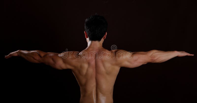 Vue Horizontale Du Dos D'un Homme Musclé Image stock - Image du fond ...