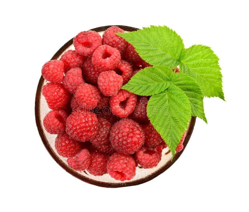Une framboise photo stock. Image du rouge, framboise - 11395654