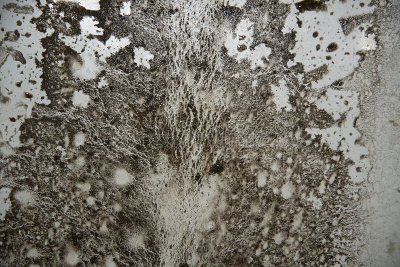 Vuil In Een Oud Bad Dat Zeer Als Een Boom Is Stock Afbeelding ...