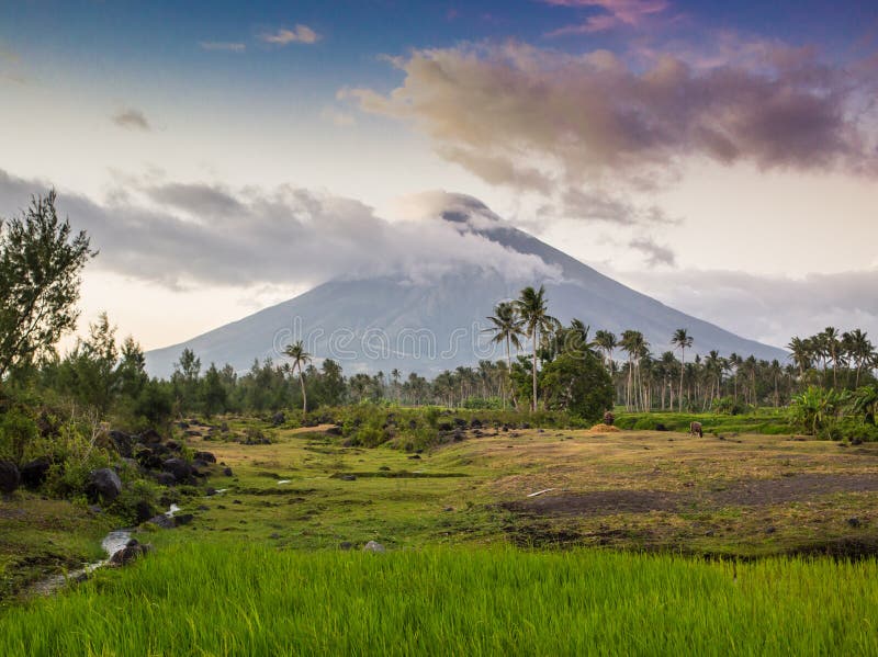 Vulcano Mount Mayon in the Philippines Stock Photo - Image of beautiful ...