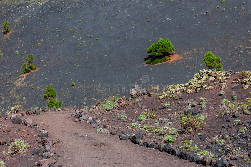 A Hiking Trail Crosses a Lava Field. Stock Image - Image of spain ...