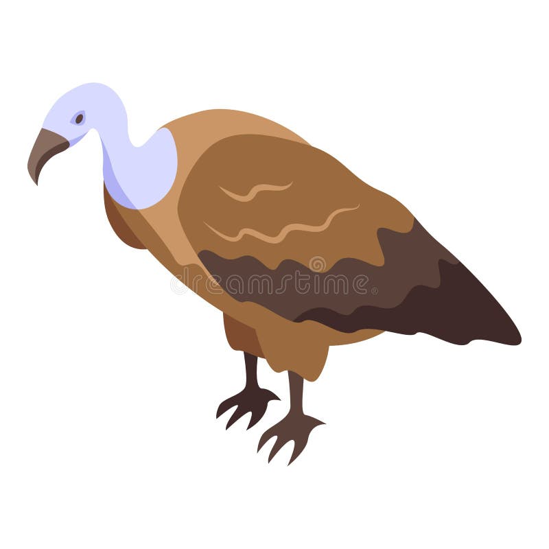 Vulture Bird Icon Isometric Vector. Animal Condor Stock Vector ...