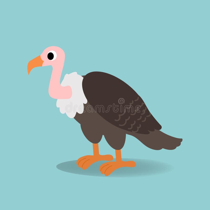 Vulture Cartoon Flat style stock vector. Illustration of wild - 313820060