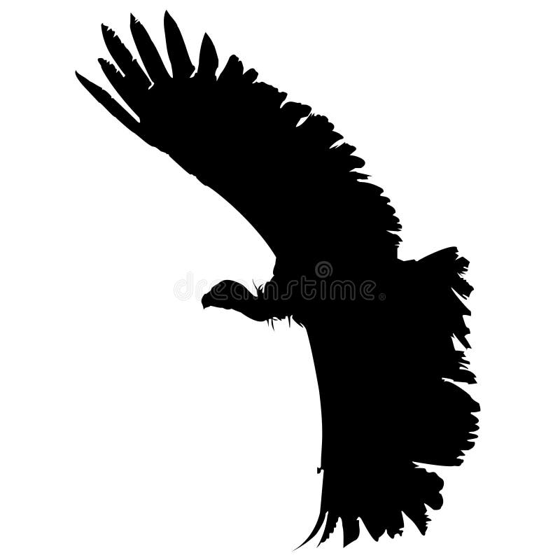 Vulture Flying - Vector Image Stock Illustration - Illustration of ...