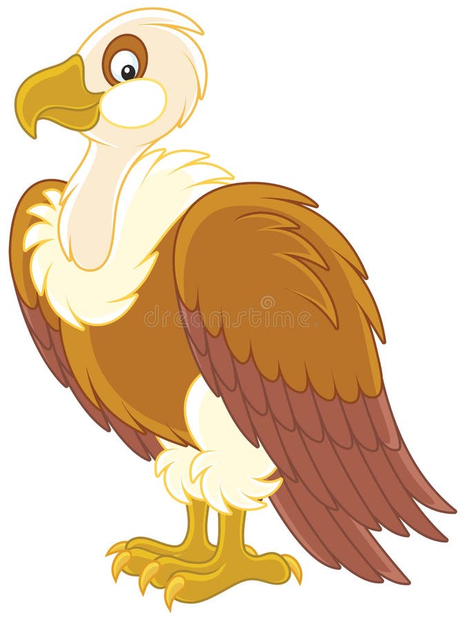 Griffon Vulture Cartoon Stock Illustrations – 159 Griffon Vulture ...