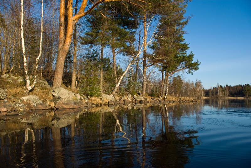 Vuoksi River Spring Landscape Stock Photo - Image of beauty, reed: 13118974