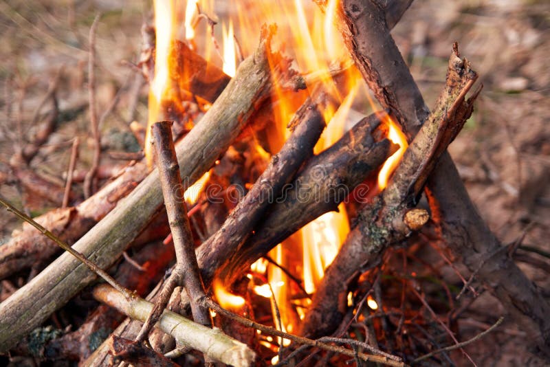 Kampvuur Met Grote Vlammen In Schemer Stock Afbeelding - Afbeelding ...