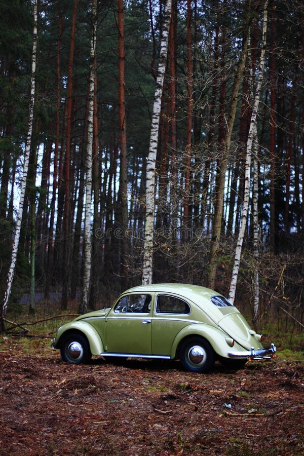 Vw beetle 1957 editorial photo. Image of retro, paint - 83371241