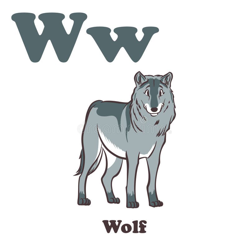 W for Wolf stock vector. Illustration of animal, european - 305451077