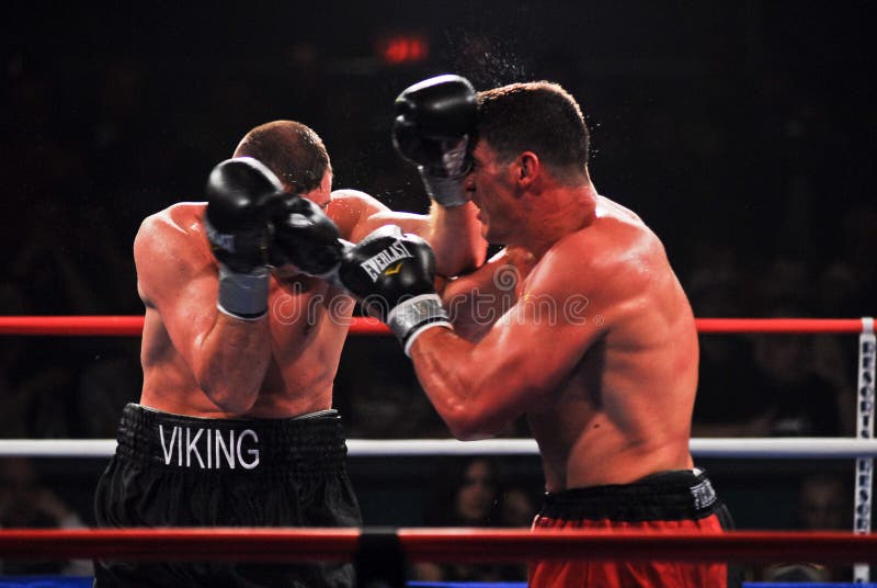 Wach Catches Fields Heavyweight Boxing Editorial Stock Photo - Image of ...