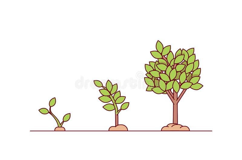 Wachsender Baum vektor abbildung. Illustration von schnitt - 28939658