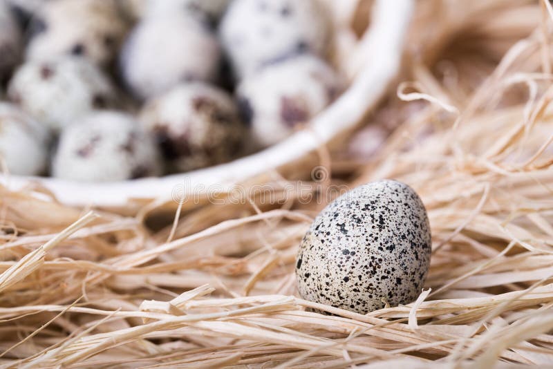 Wachtelei Im Stroh Mit Dem Korb Auf Hintergrund Stockfoto - Bild von ...