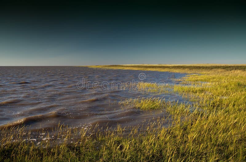 Wadden sea stock photo. Image of landscape, tide, coast - 125368600