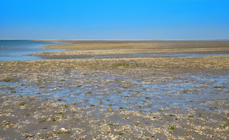 Wadden sea stock photo. Image of nature, tide, park, ocean - 35203586