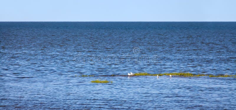 Wadden sea stock photo. Image of coast, denmark, tide - 62302024