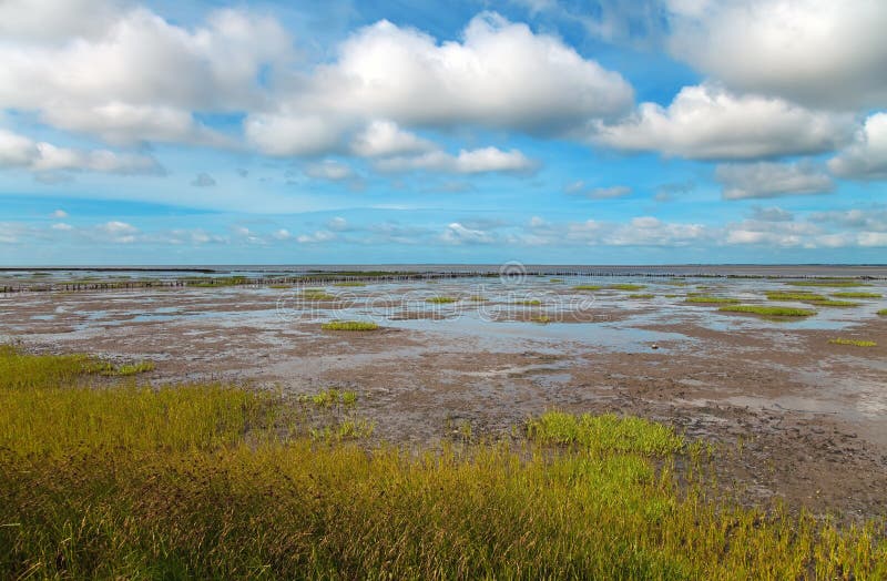 Wadden sea stock photo. Image of nature, seaside, water - 88994722