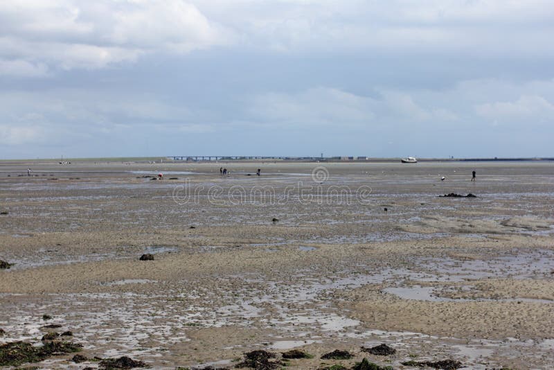 Wadden Sea stock photo. Image of waves, soil, ebbe, tidal - 91069724