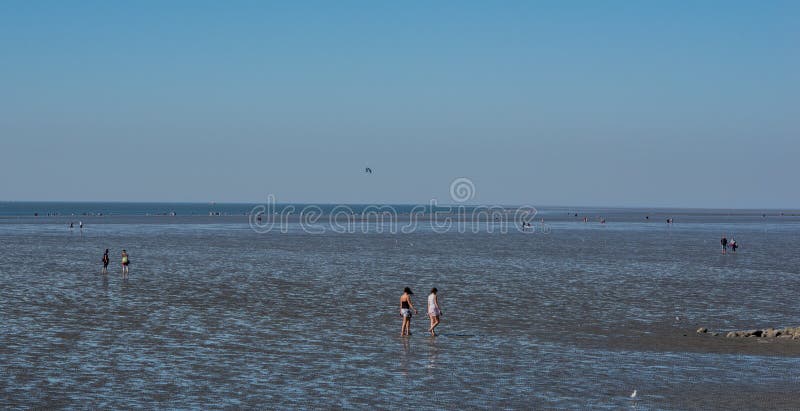 Wadden Sea on the North Sea Coast Editorial Stock Photo - Image of ...