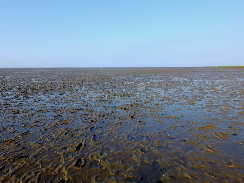 Wadden sea stock image. Image of island, world, heritage - 61408243