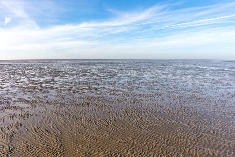 Wadden Sea stock photo. Image of intertidal, natural - 234522838