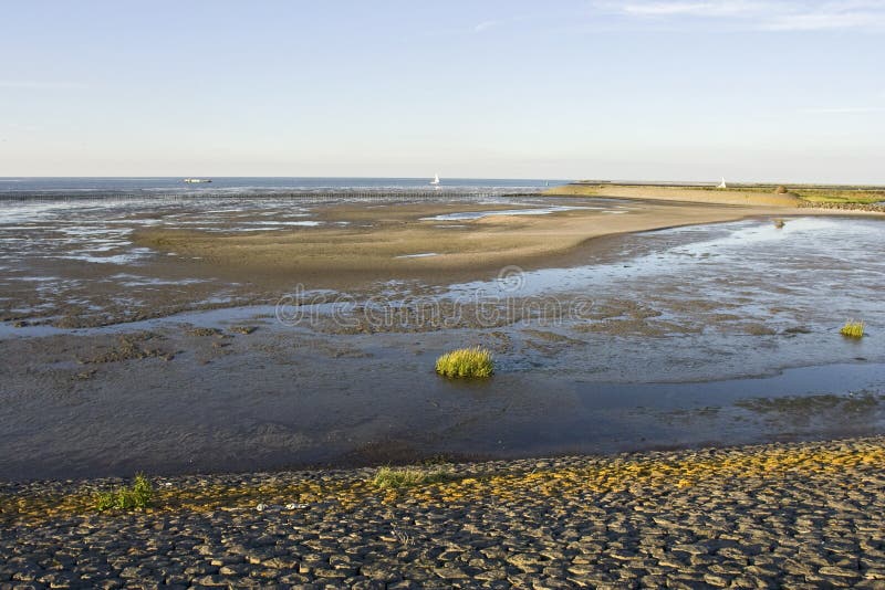 Waddenzee Stock Photos - Download 1,339 Royalty Free Photos