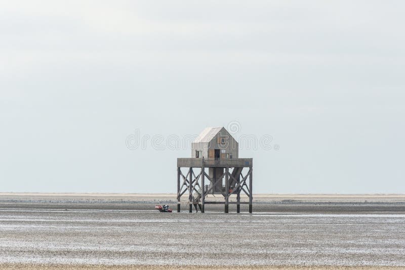 Waddenzee in the Netherlands Stock Photo - Image of plain, plains ...