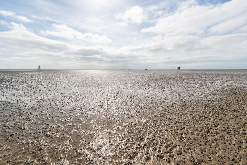 Waddenzee in the Netherlands Stock Photo - Image of plain, great: 189598624