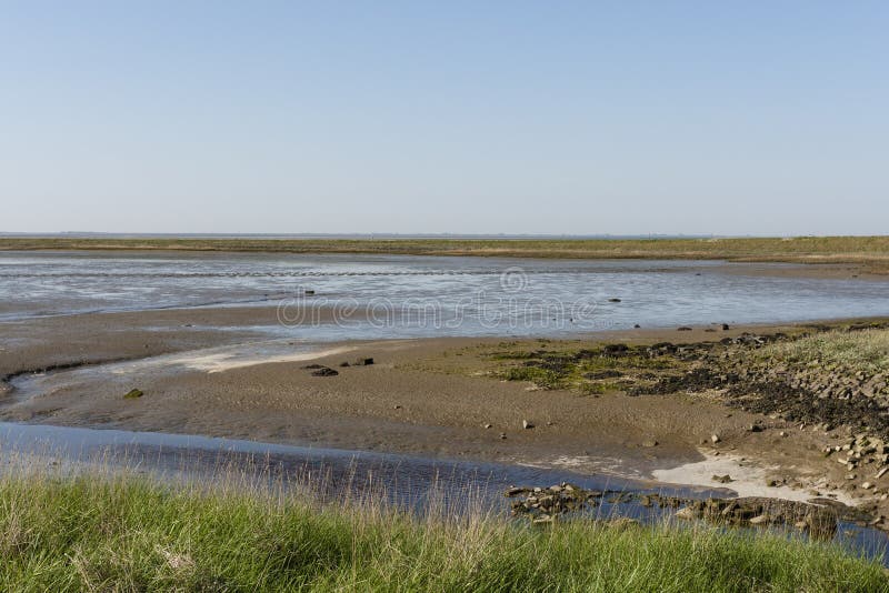 Waddenzee, Wadden Sea stock image. Image of spring, island - 129047859