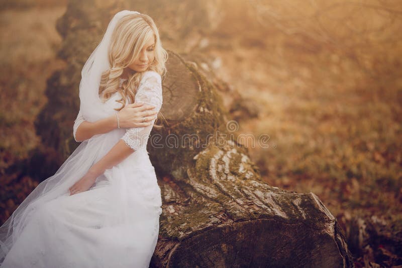 Wadding day HD stock image. Image of field, adult, love - 61582067