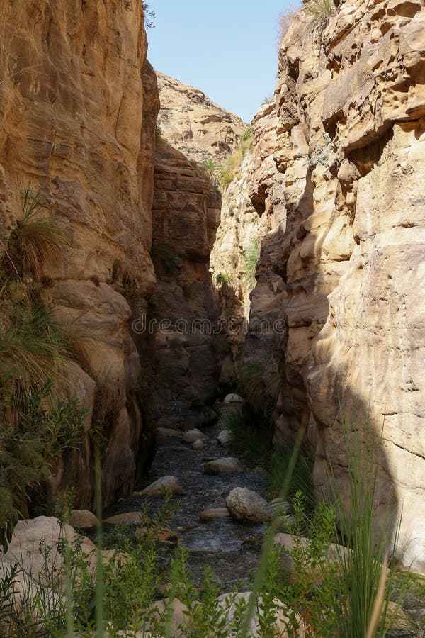 Wadi Bin Hammad Tropical Rain Forest Trail in a Canyon Stock Photo ...
