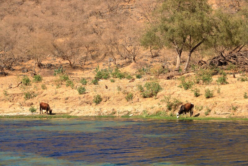 Wadi Dharbat or Sometimes Spelled Darbat, Salalah, Sultanate of Oman ...