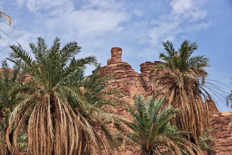 Wadi Disah, Al Shaq Canyon, Saudi Arabia Stock Photo - Image of river ...