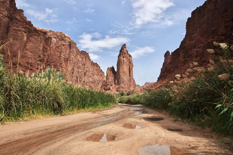 Wadi Disah, Al Shaq Canyon, Saudi Arabia Stock Photo - Image of great ...