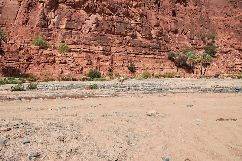 Wadi Disah, Al Shaq Canyon, Saudi Arabia Stock Photo - Image of ...