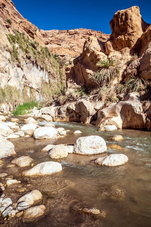 Wadi Hasa creek in Jordan stock image. Image of trail - 31325917